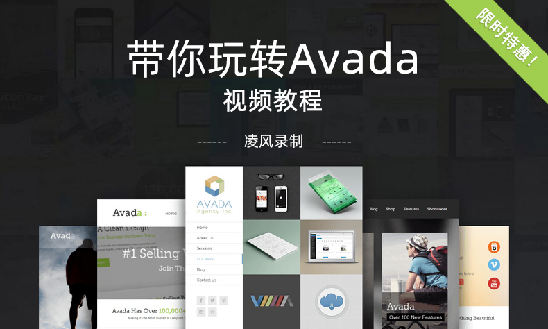 带你玩转Avada【视频教程】 – WordPress大学
