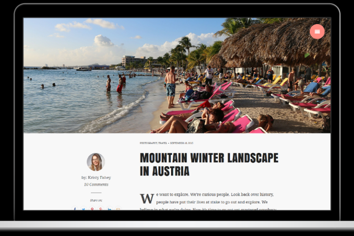 WordPress 免费个人博客主题 Snowbird – WordPress大学