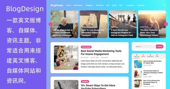 WordPress主题_免费主题模板_博客主题_企业公司主题_商城主题 – WordPress大学